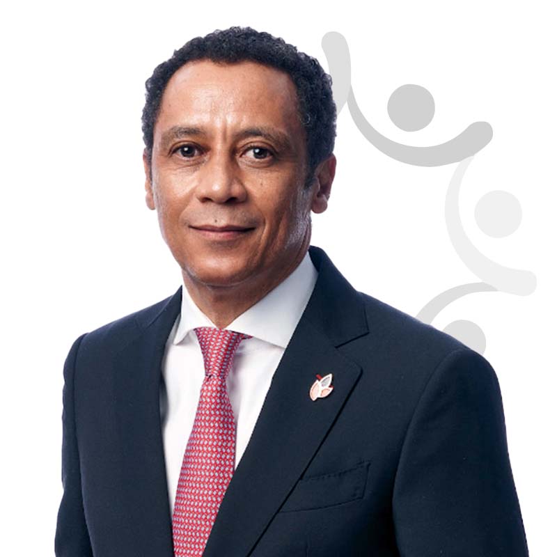 Mike Teke - Energy Council of South Africa