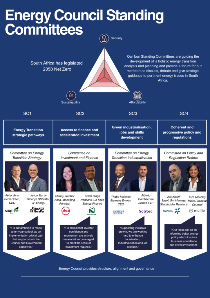 Our Committees - Energy Council of South Africa